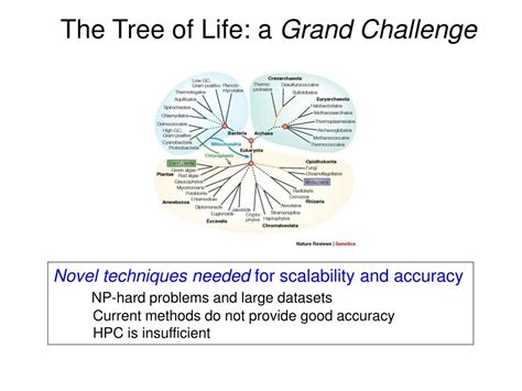 Ppt Algorithms For Ultra Large Multiple Sequence Alignment And