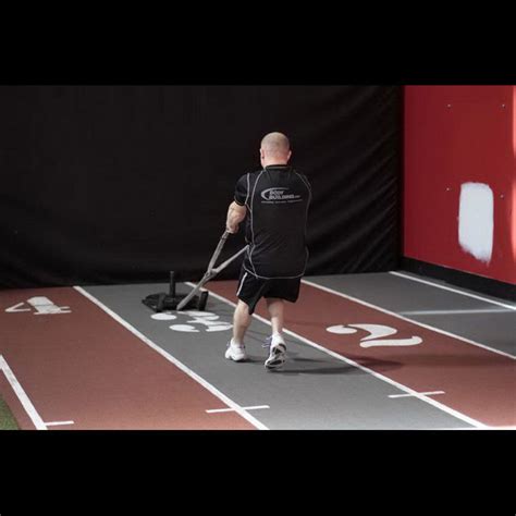 Тяга назад Каталог упражнений Бодибилдинг и фитнес бикини