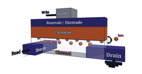 Electrochemical Random Access Memory Assignment Point
