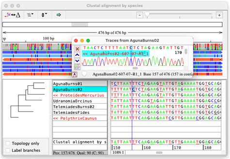 Codoncode Aligner Sequence Alignment And Assembly Software