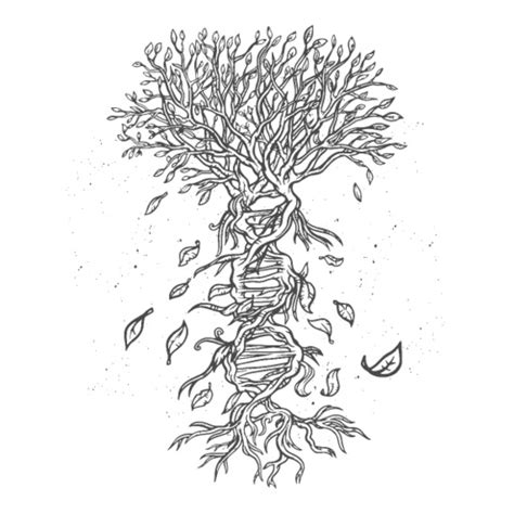 Coole Stamboom Tekeningen Stamboom