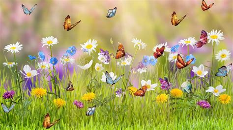 100 Printemps Fonds Décran Hd Arrière Plans