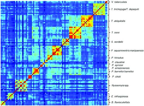 Heat Map Grid Of Composite Correlation Index CCI Of Mass Download Scientific Diagram