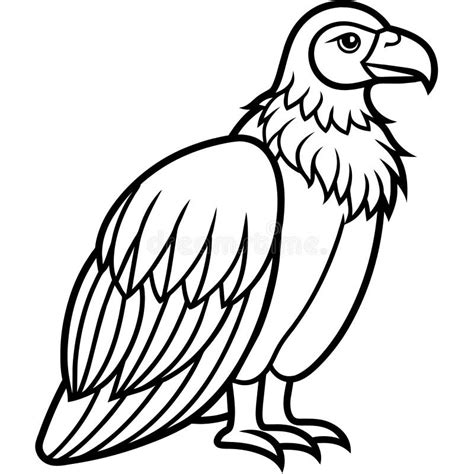 Ilustración Vectorial Del Icono Del Codor Andino Ilustración Del Vector