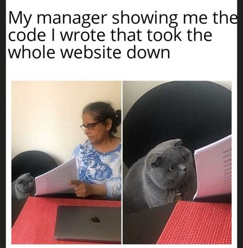 Programming Memes To Chuckle At While Your Code Is Compiling Gallery
