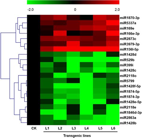 Hierarchical Clustering Analysis For The Identified Differentially