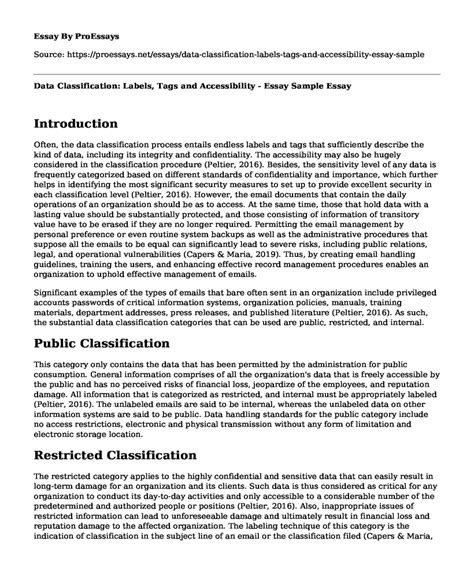 📌 Data Classification Labels Tags And Accessibility Essay Sample