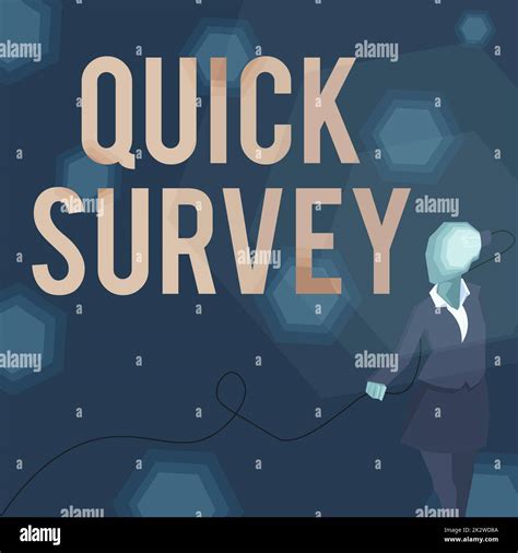 Sign Displaying Quick Survey Word Written On Conduct Fast Check On Condition Value Situation Of