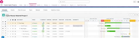 Inspire Planner Salesforce App Insanely Precise Review