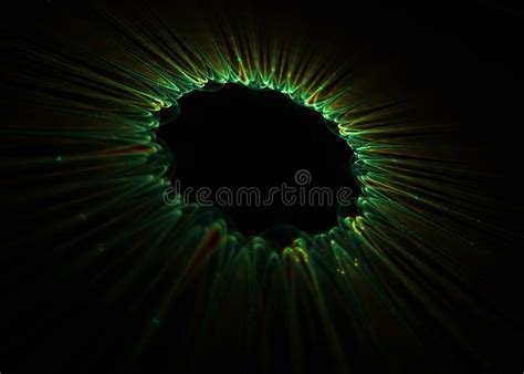 Abstract Fractal Black Hole Background Fractal Art Stock Illustration