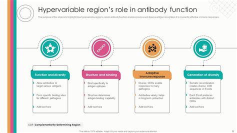 Hypervariable Powerpoint Template Bundles Ppt Presentation Ppt Example