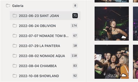 Query Loop Of Happy Files Folders Not Showing Media In Translated Pages Wpml Bugs Bricks