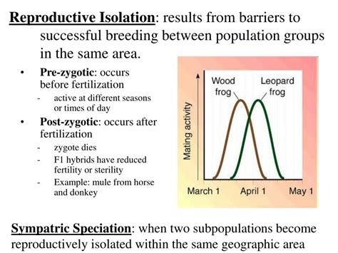 Ppt Chapter 16 Population Genetics And Speciation Powerpoint
