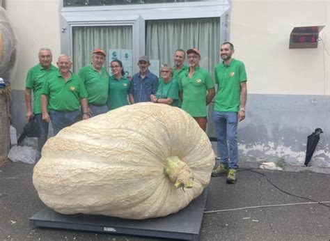 Sergio Moretti è Il Re Di Zuccolandia Con Un Nuovo Record Radio Voce