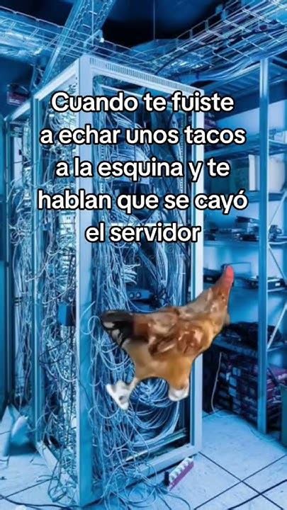 Cuando Se Cae El Servidor Programacion Programador Programmer Programming Humor Youtube