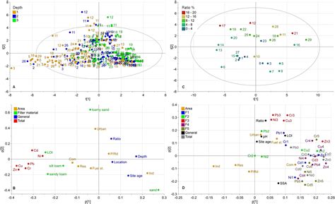 Concentration Distribution And Fractionation Of Metals In The Filter