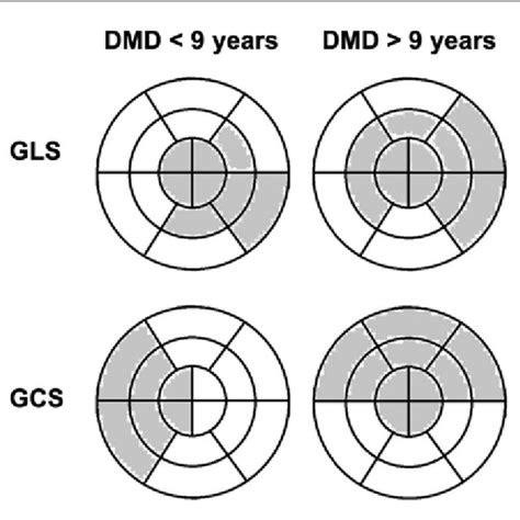Bulls Eye Diagrams Illustrating The Distribution Of Abnormal Strain