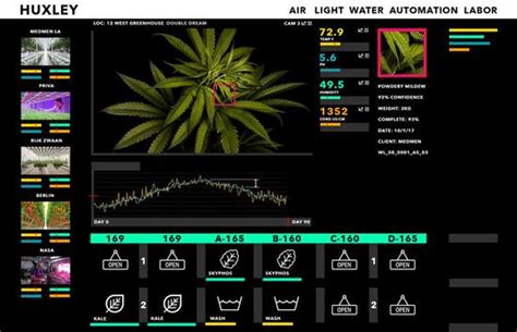 人工智能识别植物准确率高达80％ 植物学家轻松了通信世界网