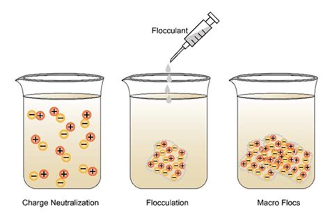 What Is Floc In Water Treatment Definition Process And Importance