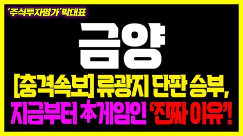 금양 초거대세력 10월 추가 매집 진행중 충격적 매수 이유 공개 금양금양 주가전망lg에너지솔루션 에스엠랩 몽골리튬광산 발포제 수산화리튬 원통형배터리