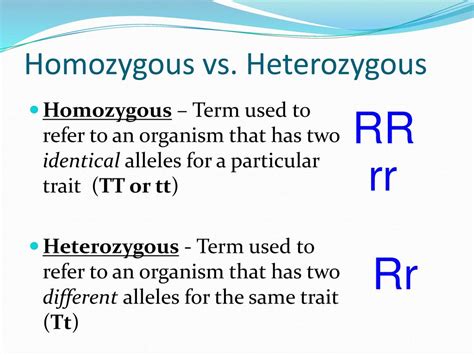 Heterozygous Vs Homozygous
