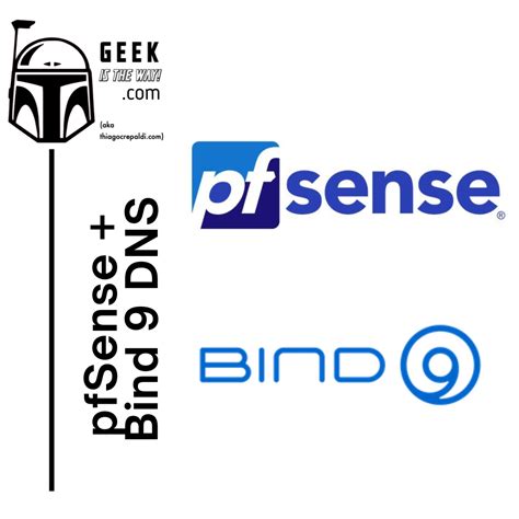 Configuring Dns Bind9 On Your Pfsense Geek Is The Way