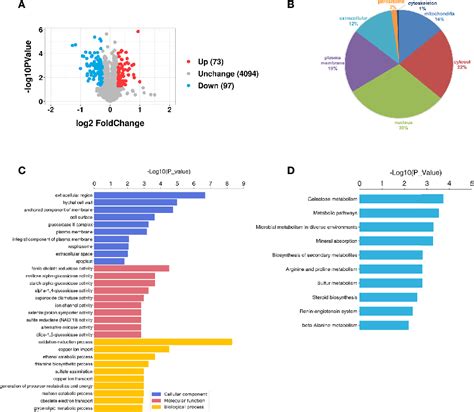 Figure 1 From Streptococcus Mutans Membrane Vesicles Enhance Candida Albicans Pathogenicity And