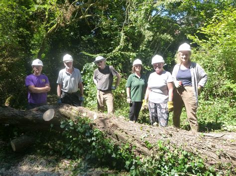 Fallen Tree Blocking Path No Bradley Stoke Journal
