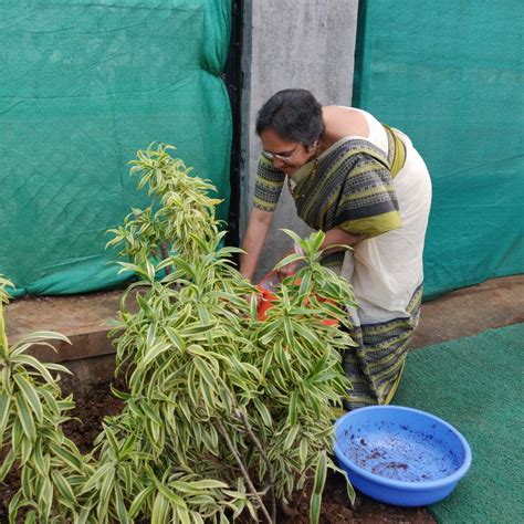 Rohit Dua Posted On Linkedin