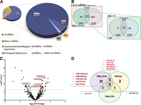 Circulating Small Noncoding Rna Profiling As A Potential Biomarker Of Atherosclerotic Plaque