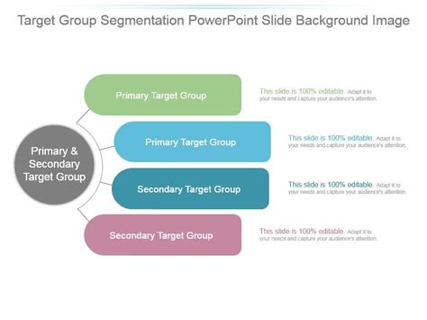 Target Group Segmentation Powerpoint Slide Background Image PowerPoint Presentation Sample