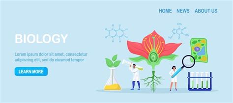 Plant Microbiology Vectors And Illustrations For Free Download