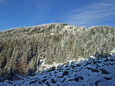Снежна разходка до Витоша Боерица Кумата Раждане на добро настроение