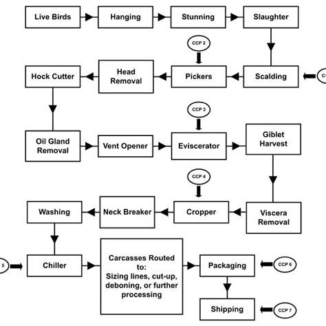 Process Diagram For A Typical Food Processing Line Bakery In