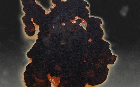 Damage Multiplier Damage Multiplier Self Released Igloo Magazine