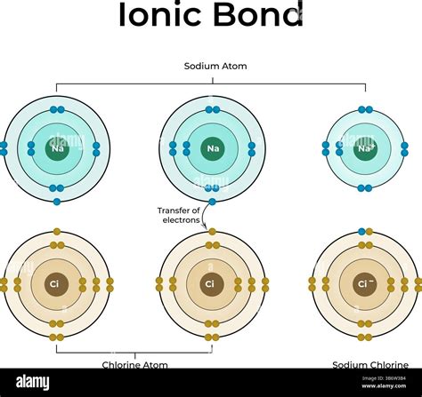 Ionic Bond Formation Design Vector Illustration Stock Vector Image Art Alamy