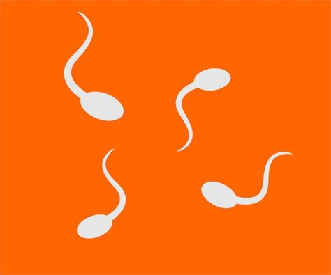 Premium Vector Sperm Vector Illustration