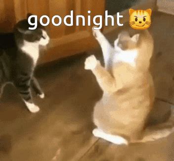 Funny Goodnight S Tenor