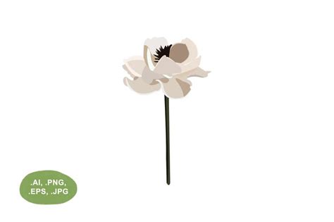 Botanical Vector Illustration Graphic By Salfiart · Creative Fabrica