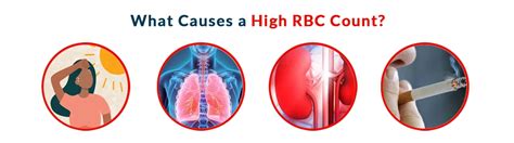 Rbc Count High Good Or Bad Symptoms Causes And Prevention