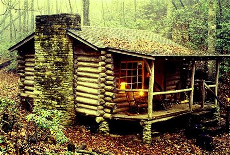 The Flying Tortoise He Built A Beautiful Little Rustic Cabin In The Woods