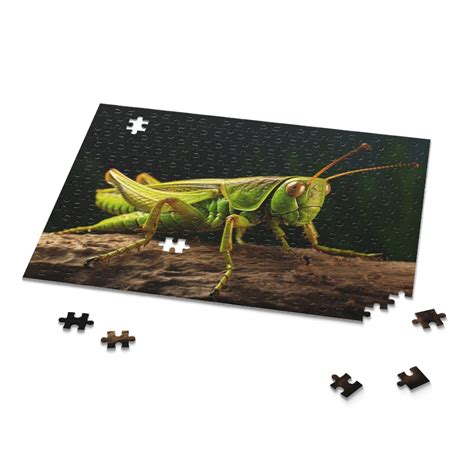 Grasshopper Puzzle Jigsaw Puzzle Grasshopper Nature Puzzle Nature Grasshopper Puzzle Jigsaw Puzzle Grasshopper Nature Puzzle Nature