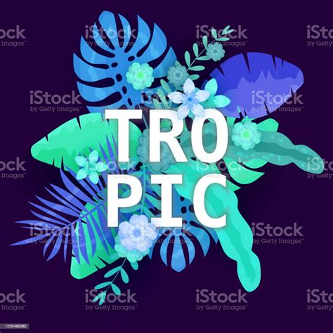 여름 트로픽 트렌디 한 네온 열대 잎 이국적인 식물 야자수 정글 잎 어두운 배경 템플릿 배너에 추세 색상 벡터 일러스트레이션 분리 0명에 대한 스톡 벡터 아트 및 기타
