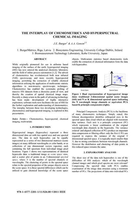 Pdf The Interplay Of Chemometrics And Hyperspectral Chemical Imaging