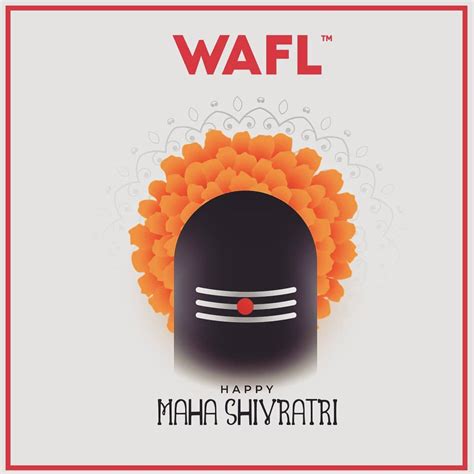 Wafl Vijayawada Sneak Peek Into The Openings By Our Wafl