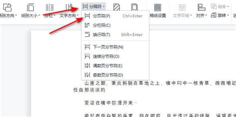 Wps文档显示分页符在哪里设置 360新知