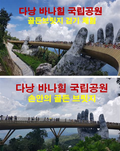 주제주드림여행사