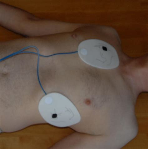 Hearts Heartbeats On Tumblr