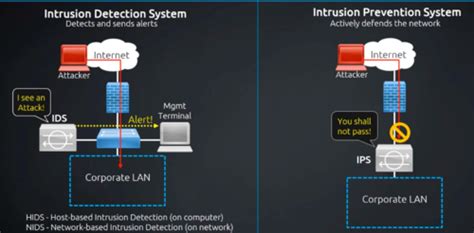 Cis Test Flashcards Quizlet Cis Test Flashcards Quizlet