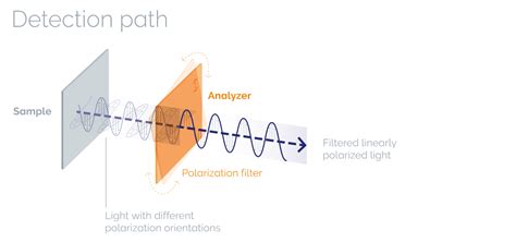 Polarization Resolved Microscopy And Spectroscopy Solutions Witec Raman Imaging Oxford